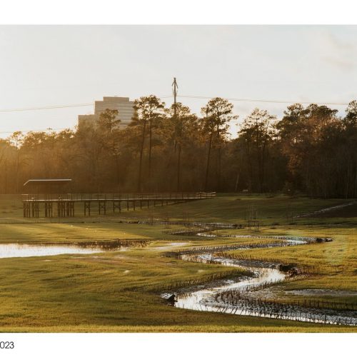 The Land Bridge & Prairie at Memorial Park | Nelson Byrd Woltz ...